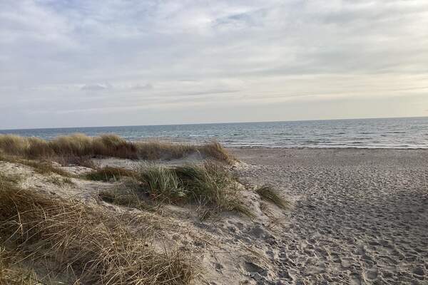 Marielyst, Falster, Sommerhus 64465, 8 personer, Pejs/brændeovn